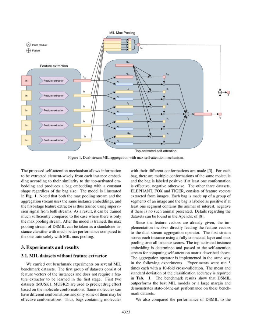 Dual Stream Maximum Self Attention Multi Instance Learning Deepai