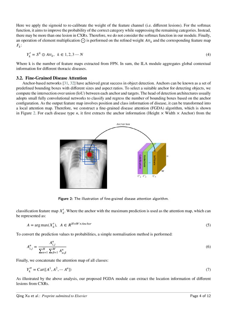 Dualattnet Synergistic Fusion Of Image Level And Fine Grained Disease