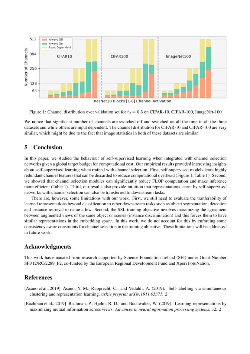 Dynamic Channel Selection in Self-Supervised Learning | DeepAI