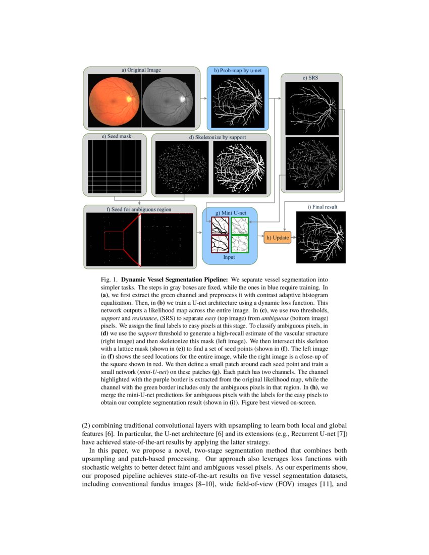 Dynamic Deep Networks for Retinal Vessel Segmentation | DeepAI