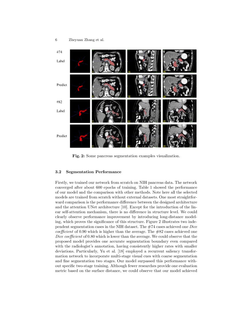 Dynamic Linear Transformer for 3D Biomedical Image Segmentation | DeepAI