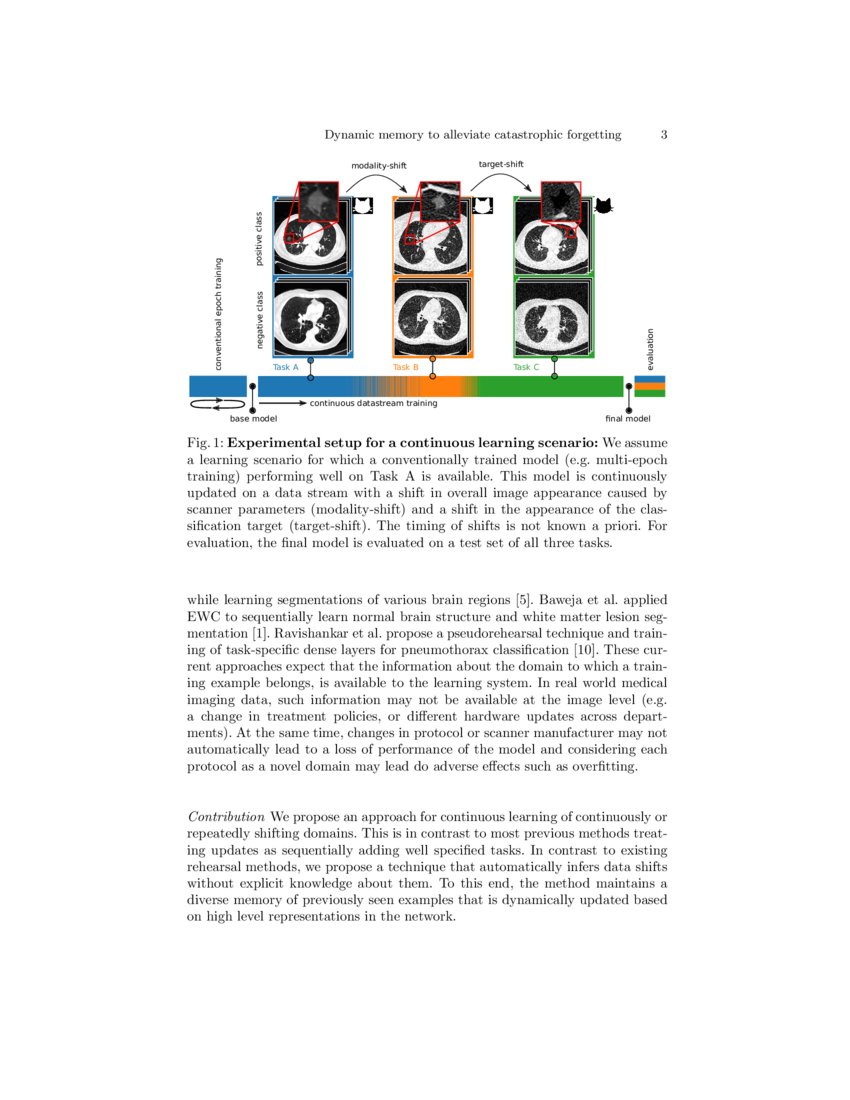 Dynamic memory to alleviate catastrophic forgetting in continuous learning settings | DeepAI