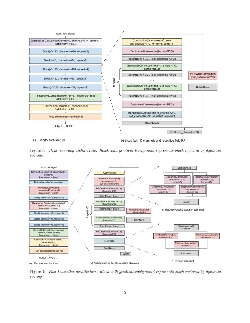 Dynamic Pooling Improves Nanopore Base Calling Accuracy | DeepAI