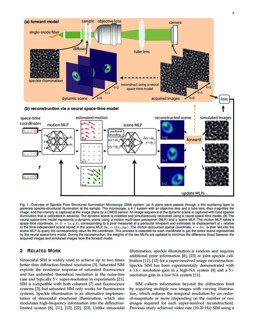 Dynamic Structured Illumination Microscopy with a Neural Space-time Model | DeepAI