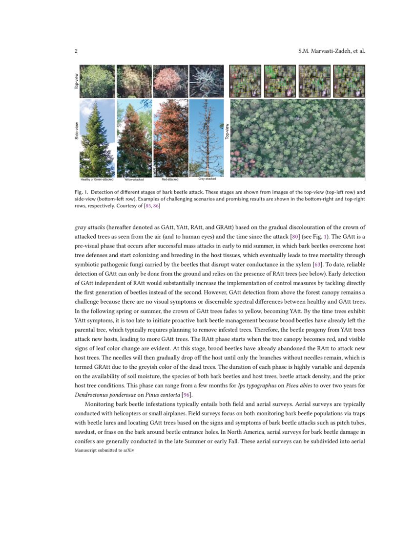 Early Detection of Bark Beetle Attack Using Remote Sensing and Machine Learning: A Review | DeepAI