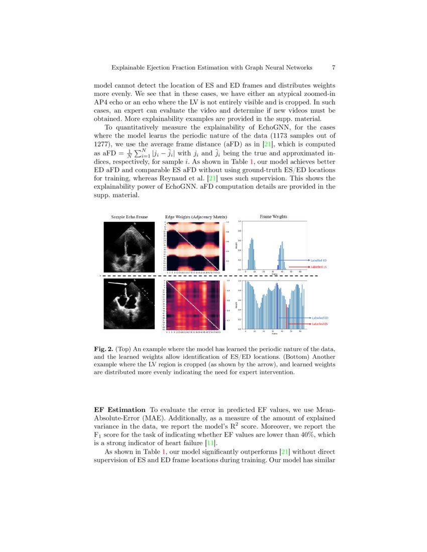 EchoGNN: Explainable Ejection Fraction Estimation with Graph Neural Networks | DeepAI