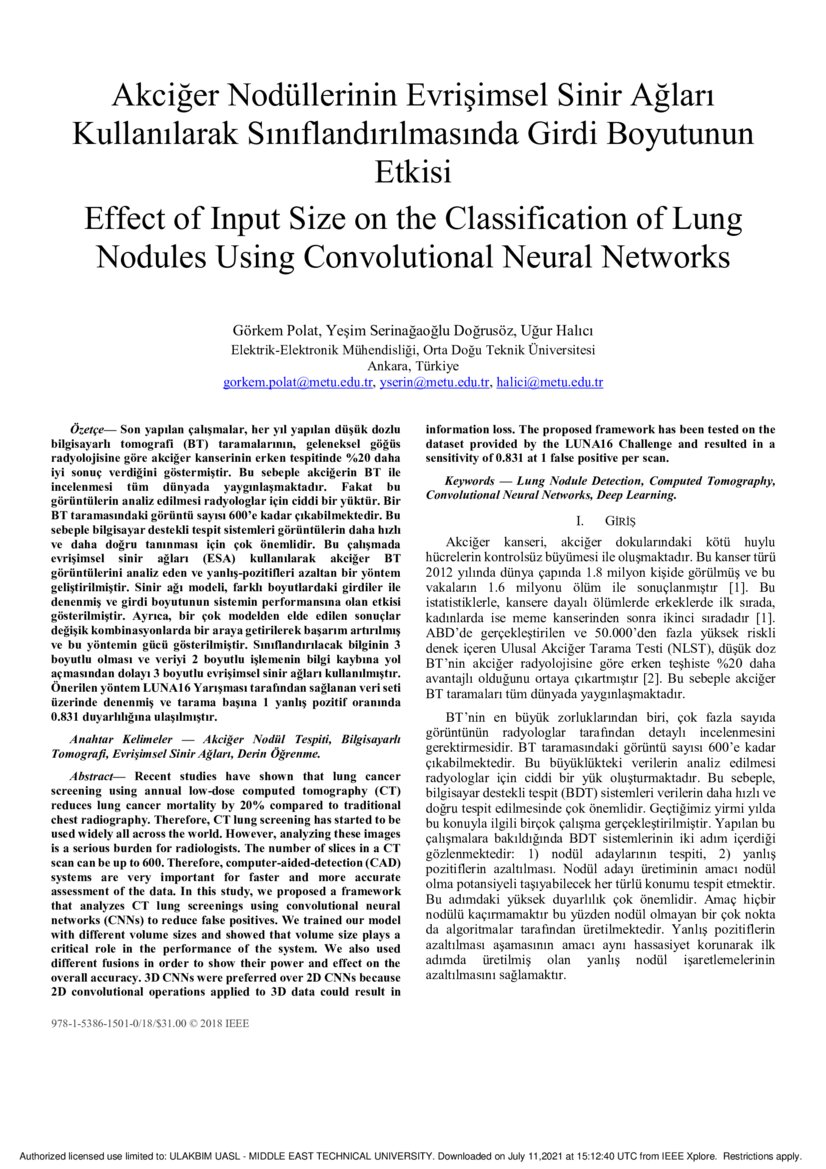 Effect Of Input Size On The Classification Of Lung Nodules Using