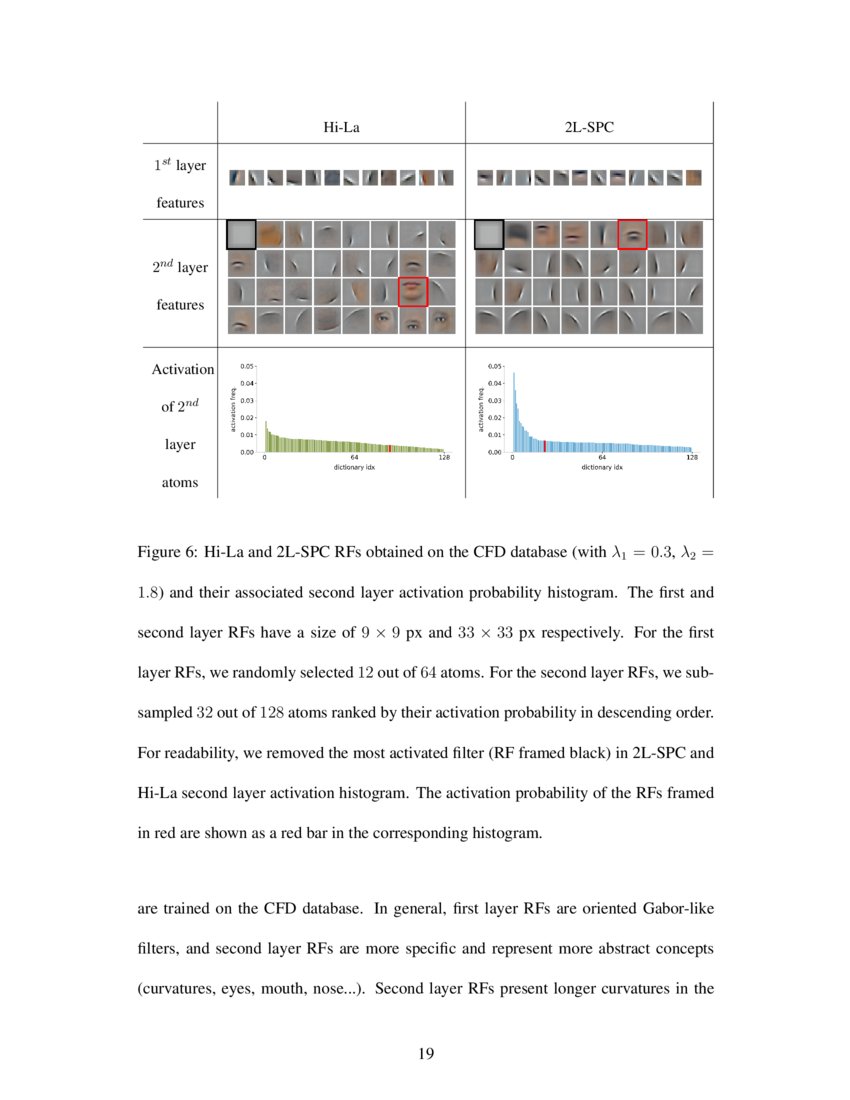Effect of top-down connections in Hierarchical Sparse Coding | DeepAI