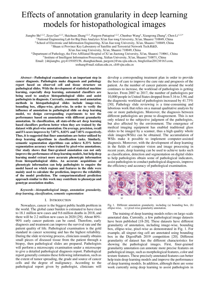 Effects of annotation granularity in deep learning models for histopathological images | DeepAI