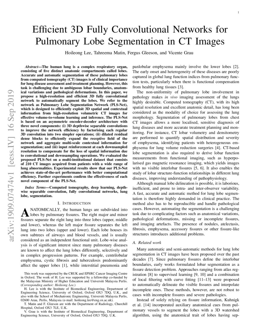 Efficient 3D Fully Convolutional Networks for Pulmonary Lobe Segmentation in CT Images | DeepAI