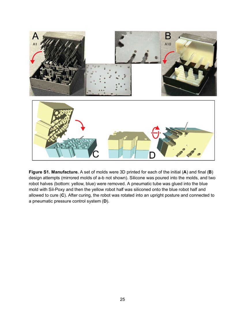 Efficient automatic design of robots | DeepAI