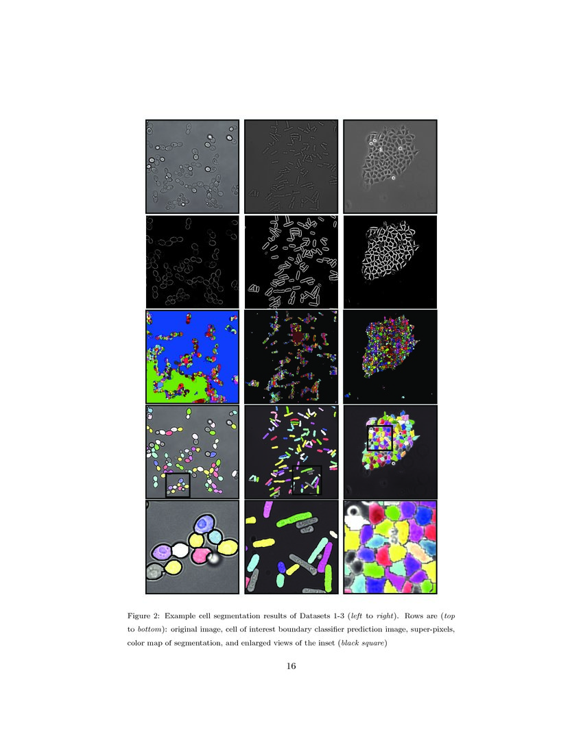 Efficient Column Generation for Cell Detection and Segmentation | DeepAI