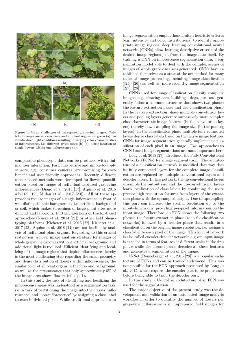 Efficient identification, localization and quantification of grapevine inflorescences in ...