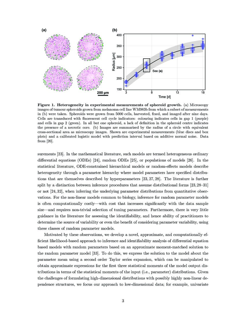 Efficient Inference And Identifiability Analysis For Differential