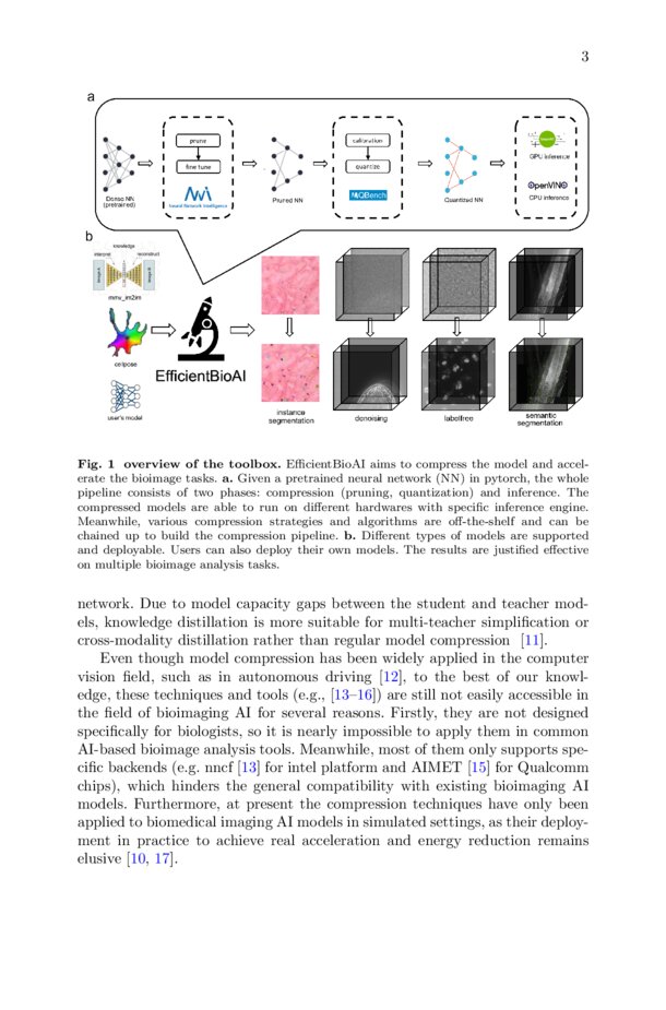 Efficientbioai Making Bioimaging Ai Models Efficient In Energy Latency And Representation Deepai