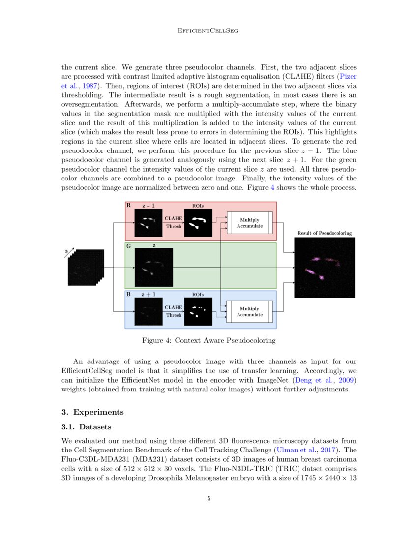 Efficientcellseg Efficient Volumetric Cell Segmentation Using Context Aware Pseudocoloring Deepai
