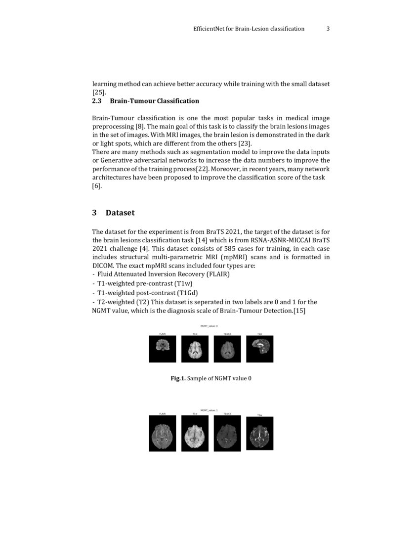 Efficientnet For Brain Lesion Classification Deepai