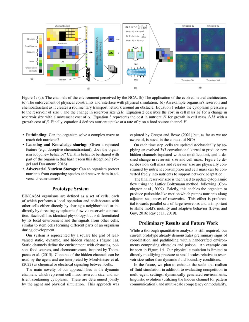 EINCASM: Emergent Intelligence in Neural Cellular Automaton Slime Molds | DeepAI