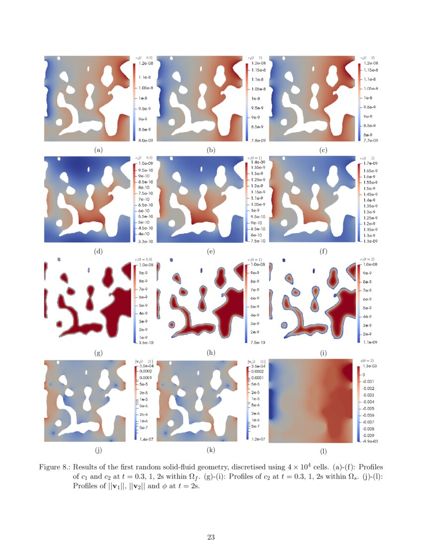 Electrochemical Transport Modelling And Open Source Simulation Of Pore Scale Solid Liquid