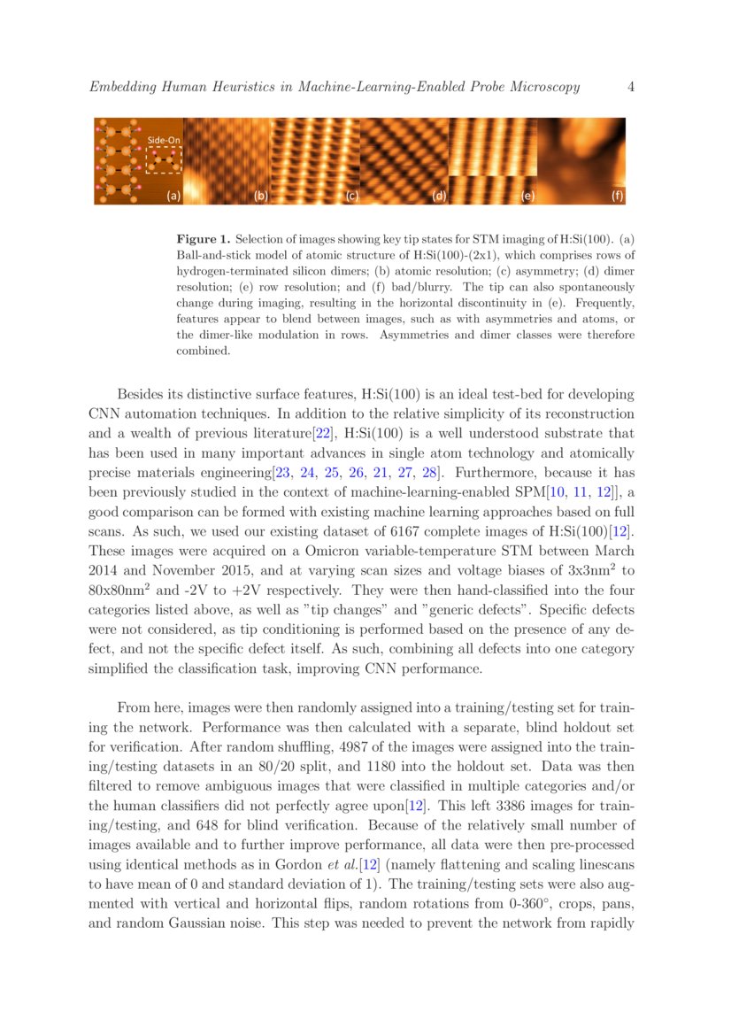 Embedding Human Heuristics in Machine-Learning-Enabled Probe Microscopy ...