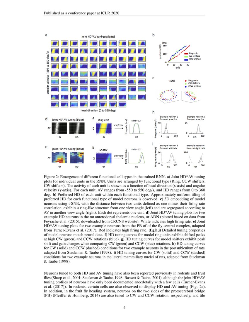 Emergence Of Functional And Structural Properties Of The Head Direction