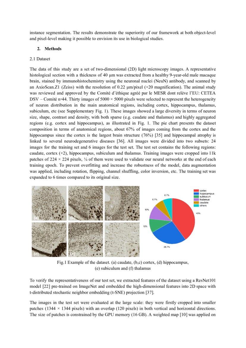 End To End Neuron Instance Segmentation Based On Weakly Supervised Efficient Unet And
