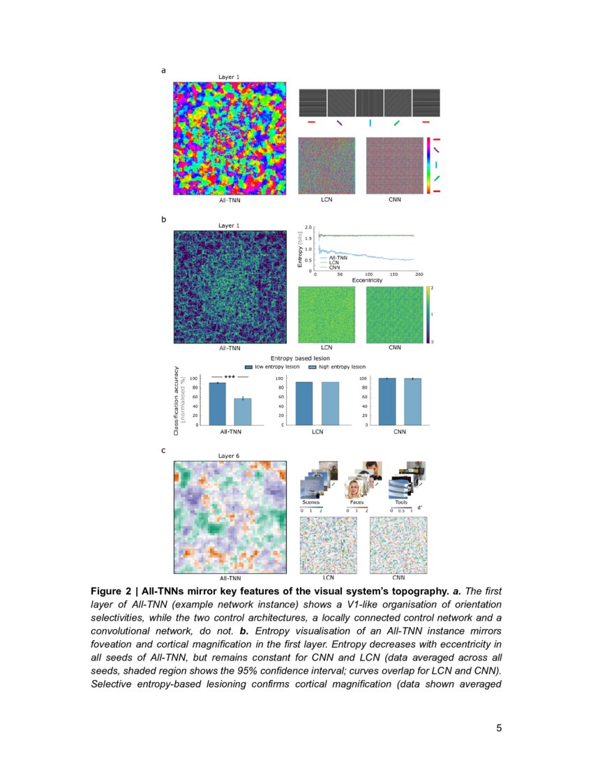 End-to-end topographic networks as models of cortical map formation and ...