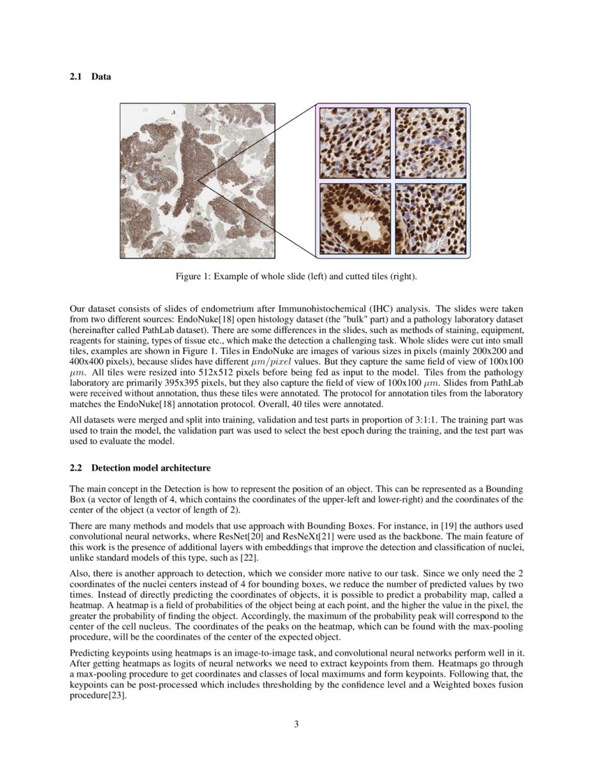EndoNet: model for automatic calculation of H-score on histological slides | DeepAI
