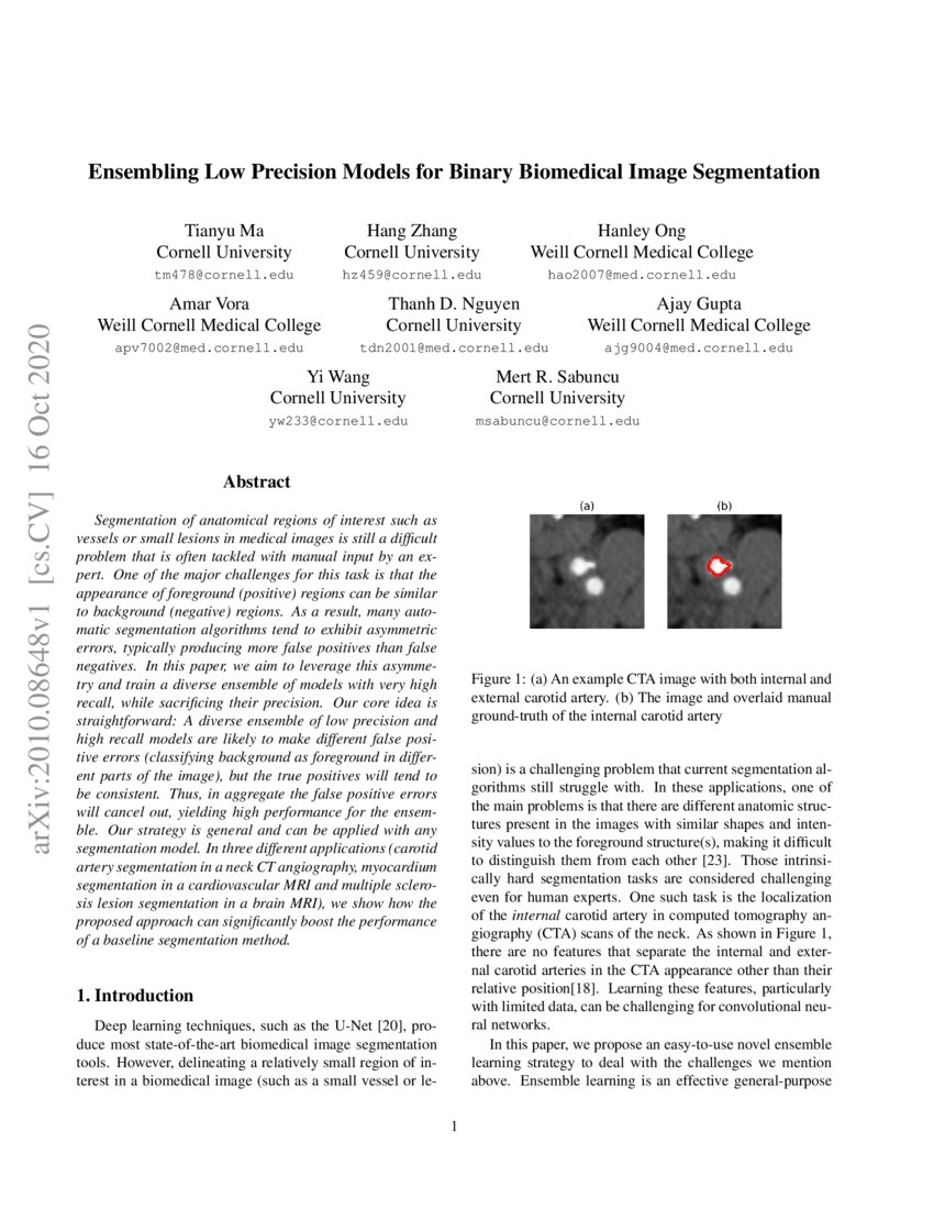 Ensembling Low Precision Models for Binary Biomedical Image Segmentation | DeepAI