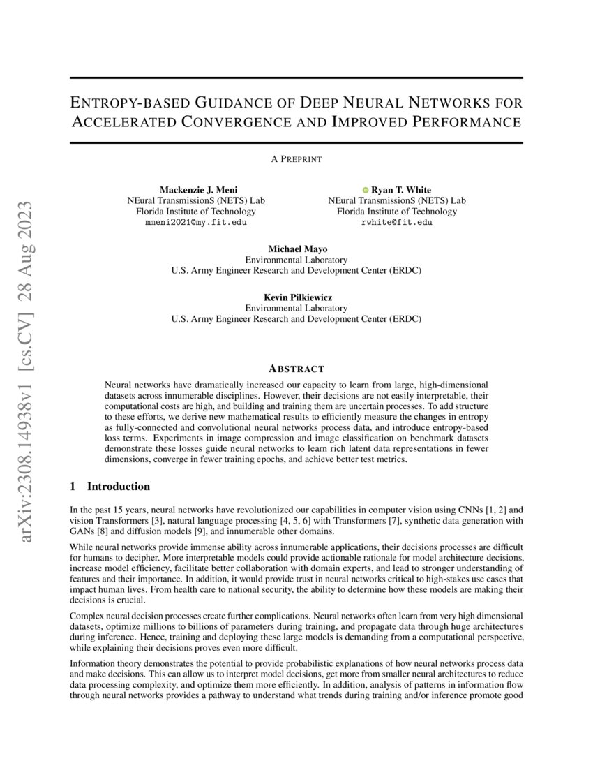 Entropy Based Guidance Of Deep Neural Networks For Accelerated Convergence And Improved