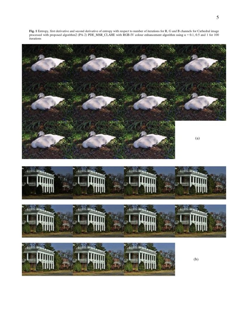 Entropy Guided Retinex Anisotropic Diffusion Algorithm Based On Partial