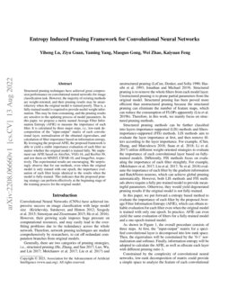Entropy Induced Pruning Framework for Convolutional Neural Networks | DeepAI