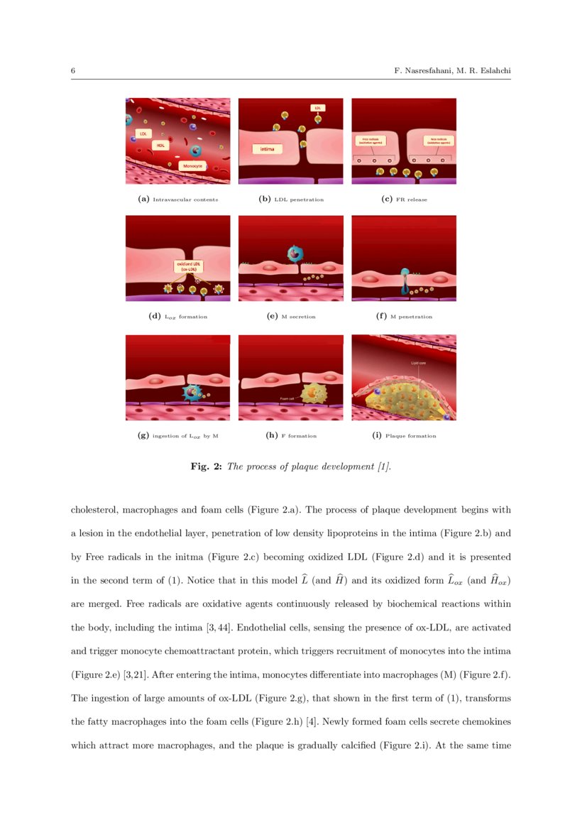 Error Analysis Of Finite Differencecollocation Method For The
