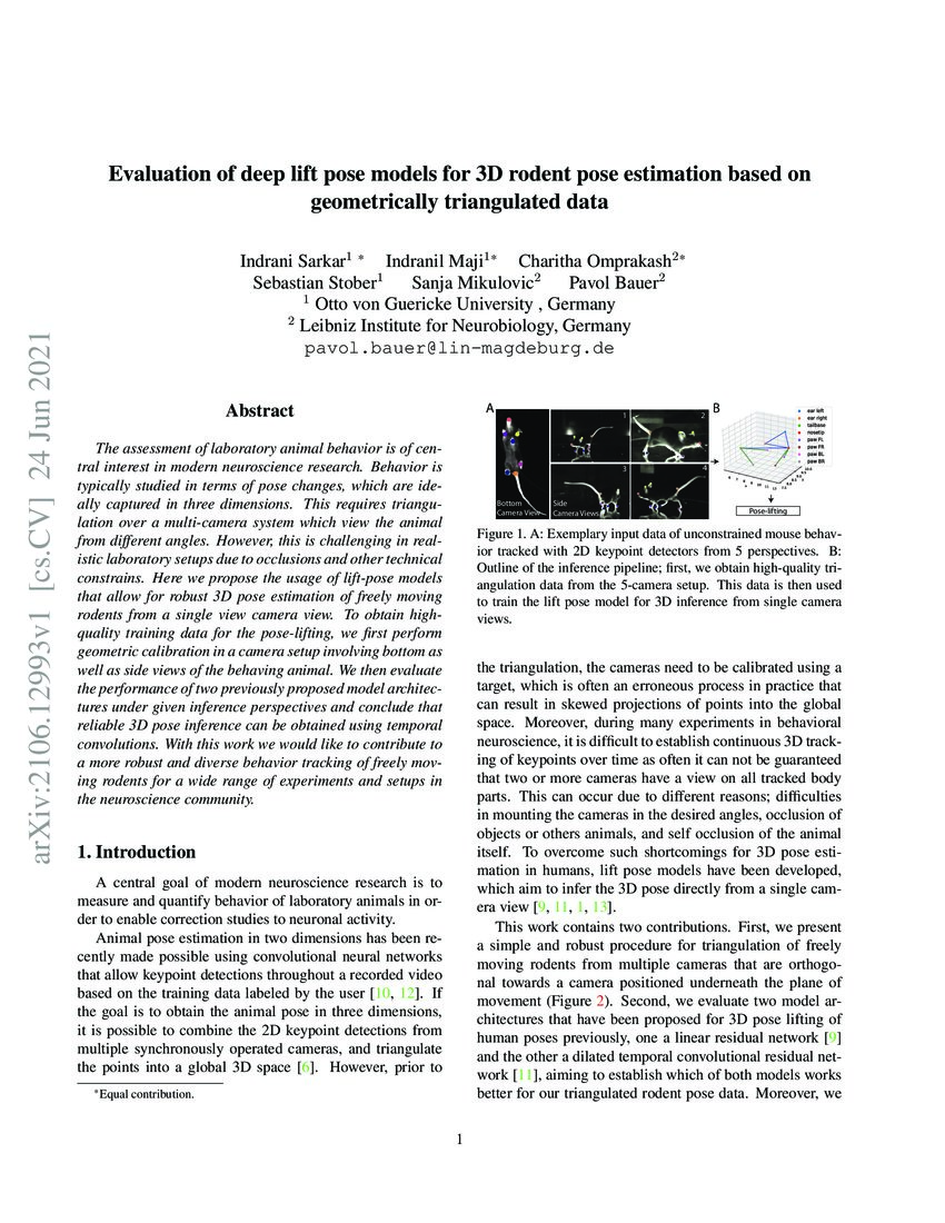 Evaluation of deep lift pose models for 3D rodent pose estimation based ...