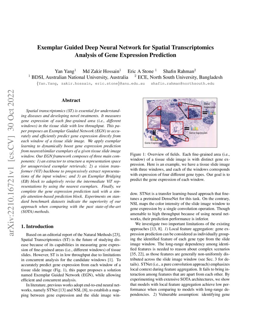 Exemplar Guided Deep Neural Network For Spatial Transcriptomics Analysis Of Gene Expression