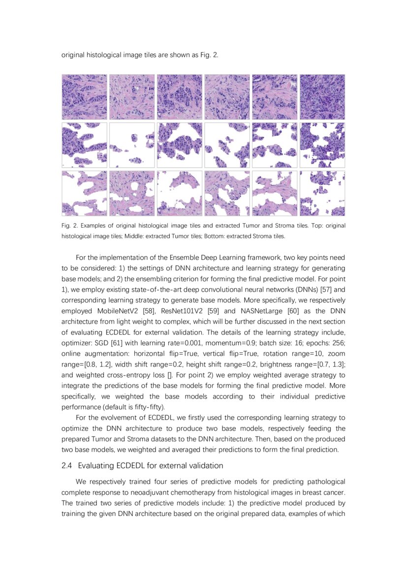 Experts' cognition-driven ensemble deep learning for external validation of predicting ...