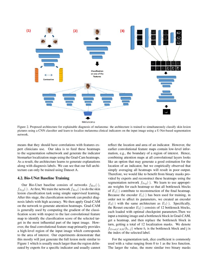 Explainable Artificial Intelligence Architecture For Melanoma Diagnosis
