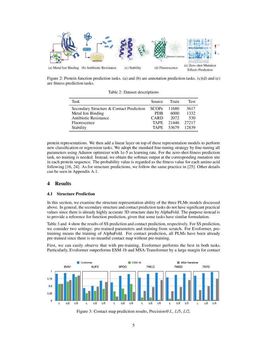 Exploring evolution-based -free protein language models as protein ...