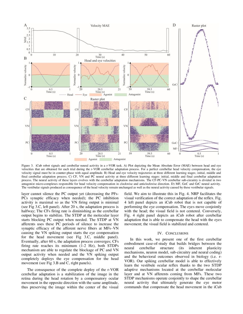 Exploring vestibulo-ocular adaptation in a closed-loop neuro-robotic experiment using STDP. A ...
