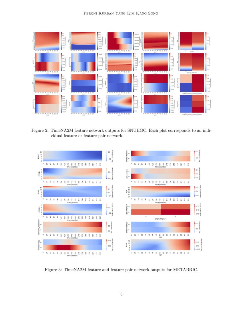 Extending the Neural Additive Model for Survival Analysis with EHR Data | DeepAI