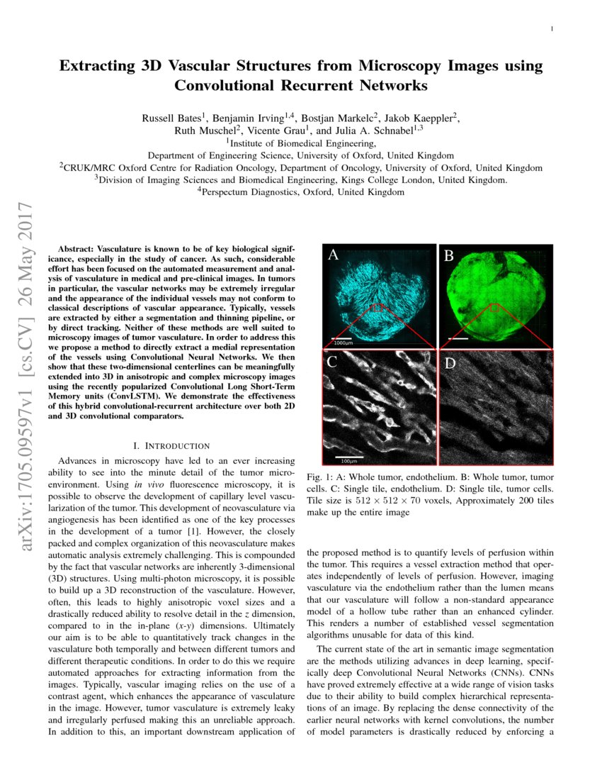 Extracting 3D Vascular Structures from Microscopy Images using ...