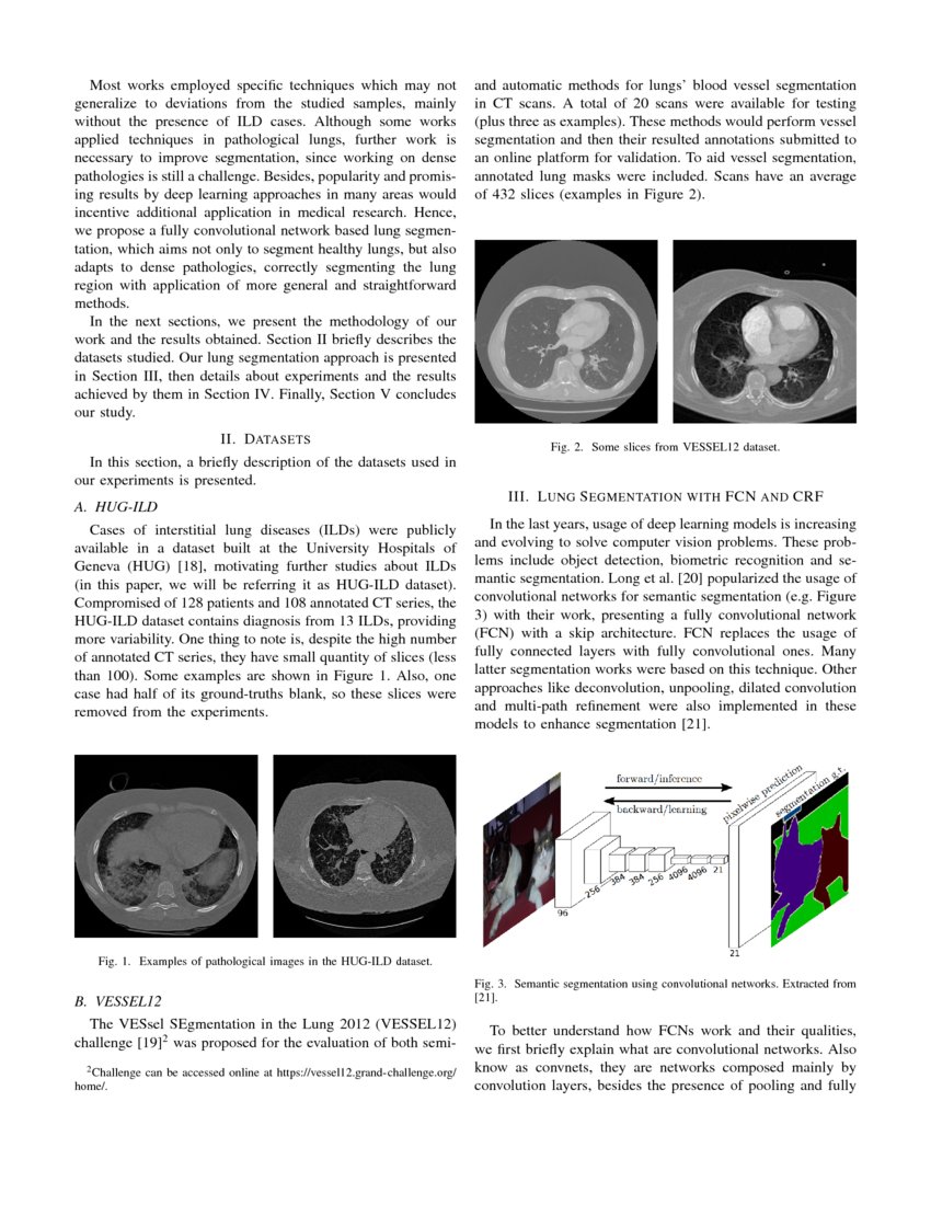 Extracting Lungs from CT Images using Fully Convolutional Networks | DeepAI