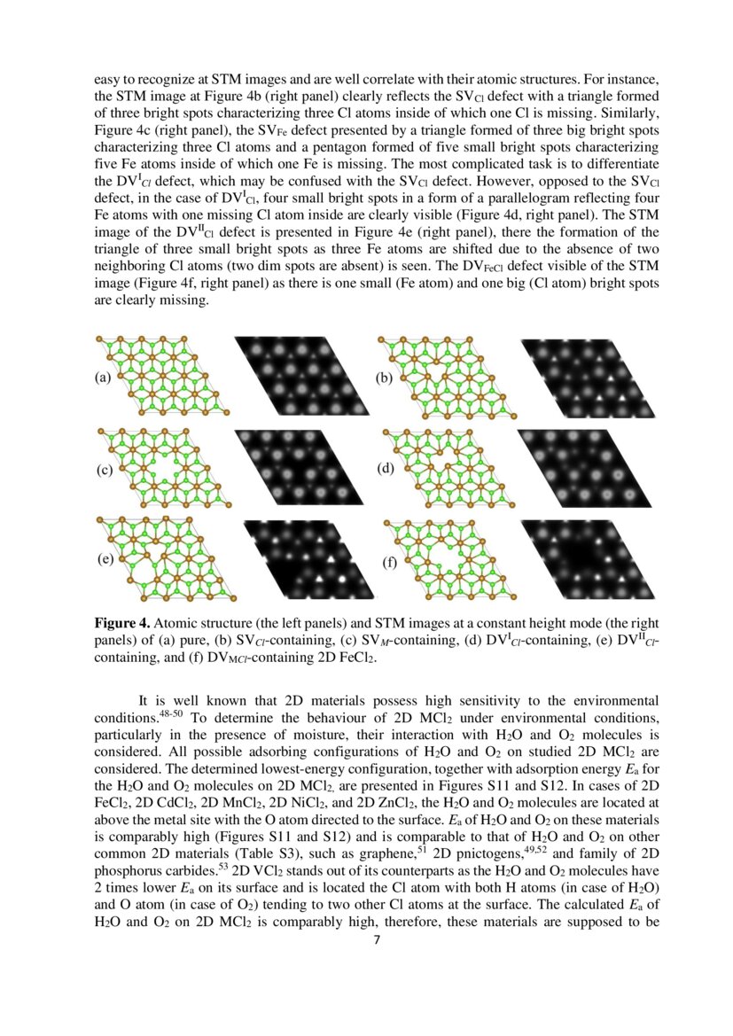 Family of Two Dimensional Transition Metal Dichlorides Fundamental ...