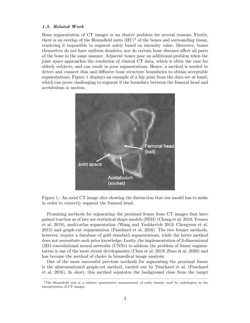 Fast and Robust Femur Segmentation from Computed Tomography Images for Patient-Specific Hip ...