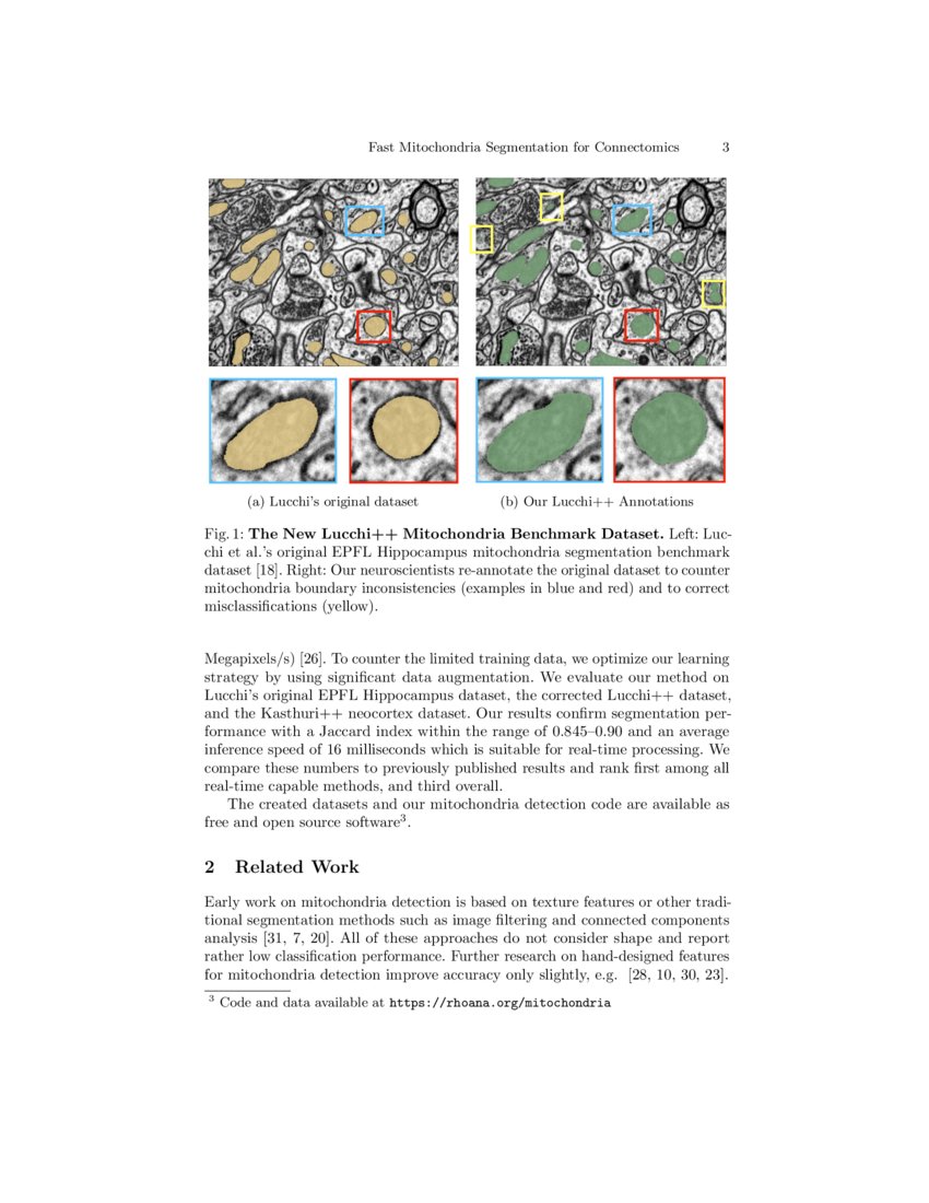 Fast Mitochondria Segmentation for Connectomics | DeepAI