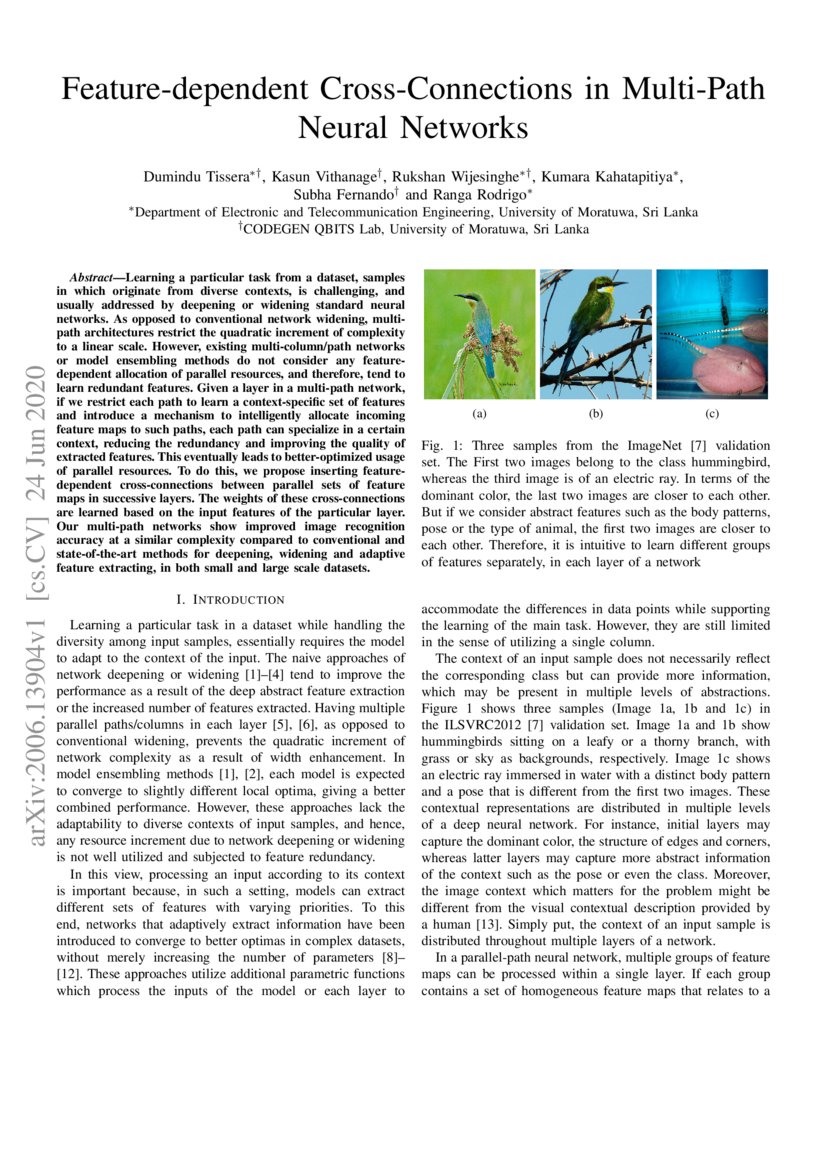 Feature Dependent Cross Connections In Multi Path Neural Networks Deepai 