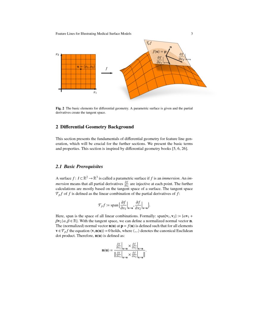 Feature Lines for Illustrating Medical Surface Models: Mathematical ...
