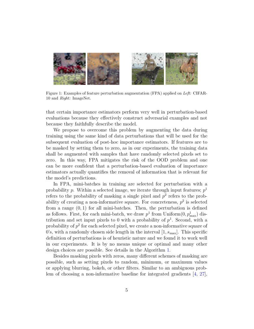 Feature Perturbation Augmentation For Reliable Evaluation Of Importance