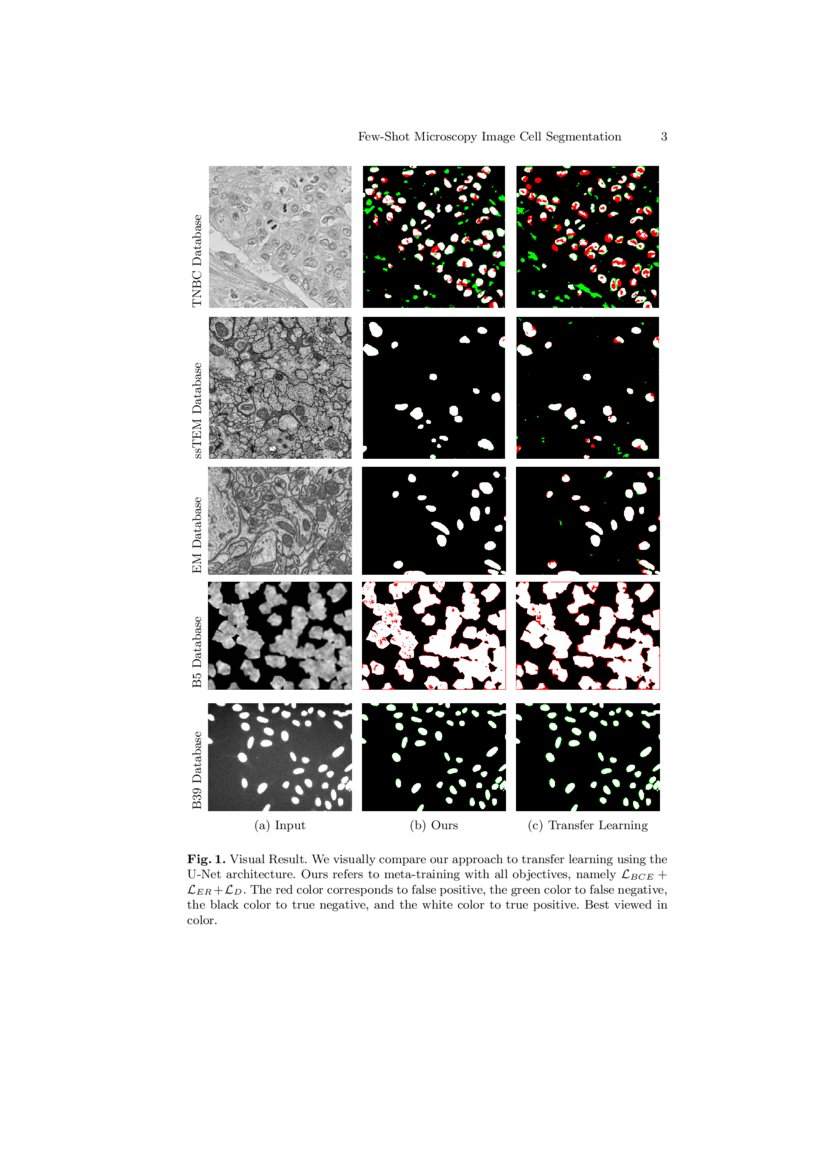Few-Shot Microscopy Image Cell Segmentation | DeepAI