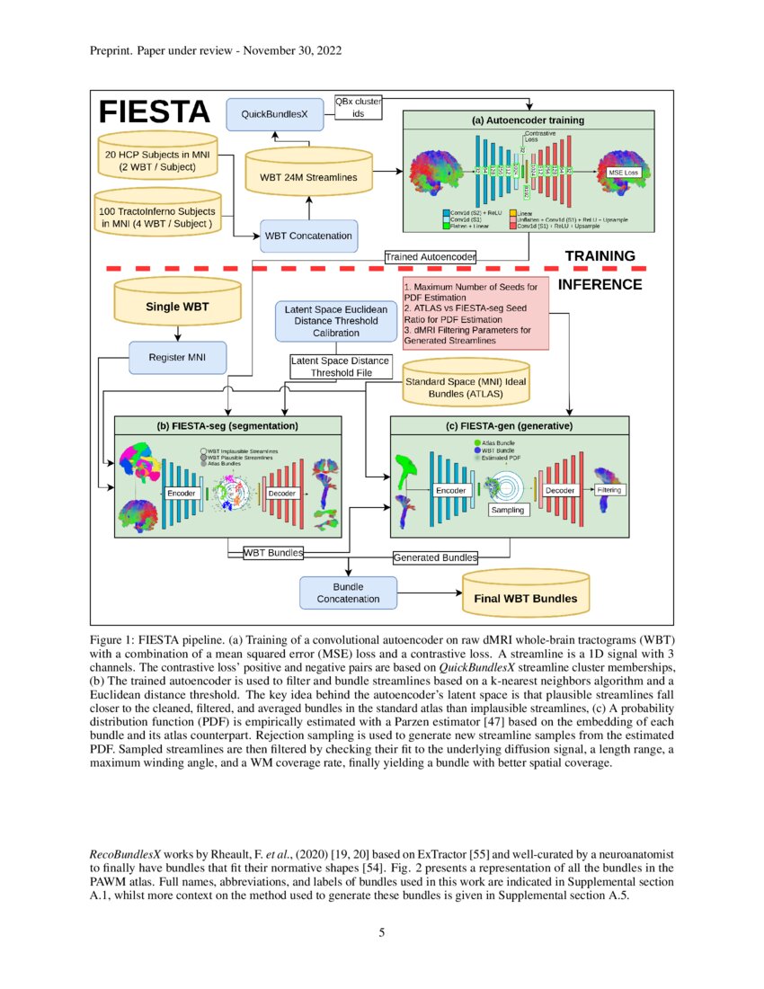 FIESTA: FIber gEneration and bundle Segmentation in Tractography using Autoencoders | DeepAI